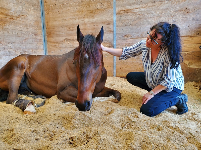 Our Team at DPEG Marketing Company