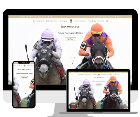 Website Development - dpeg Marketing Company